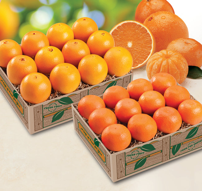 Shipping Florida Oranges, Grapefruit and Fruit Gift Baskets since 1946