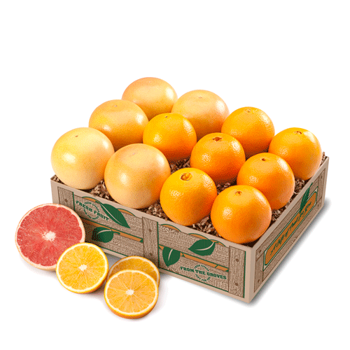Shipping Florida Oranges, Honeybells, Tangerines, Navels Since 1946